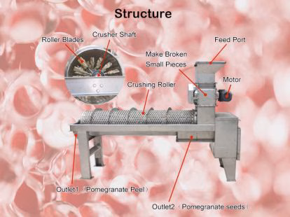 Pomegranate Peeling Machine | Automatic Pomegranate Peeler