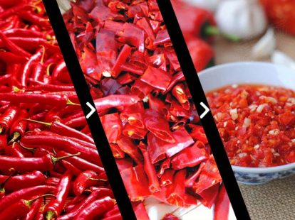 Chopped Pepper Production Line - Pepper Cutting Machine - Taizy Machine