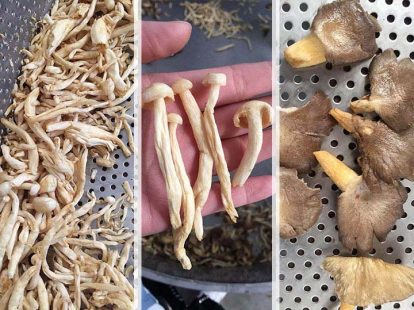 Low-temperature Vacuum Fryer | Fruit & Vegetable Chips Frying Machine