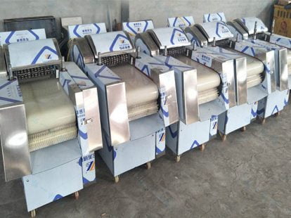 Taizy Chicken Meat Cutting Machine For Sale