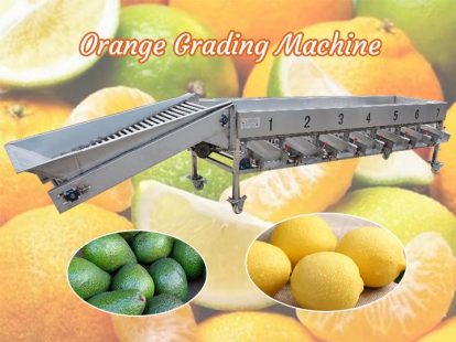 Orange Grading Machine Vegetable And Fruit Sorting Machine